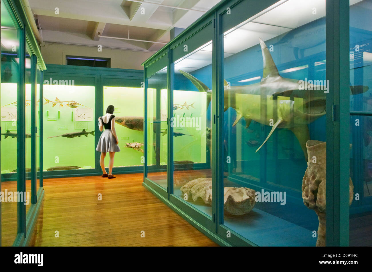 Girl in museum Stock Photo - Alamy