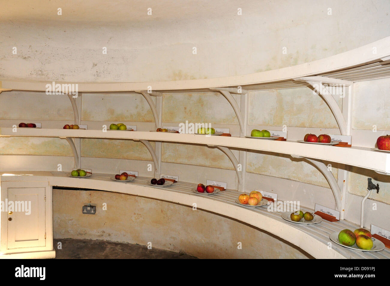 Storing apples shelf hi-res stock photography and images - Alamy