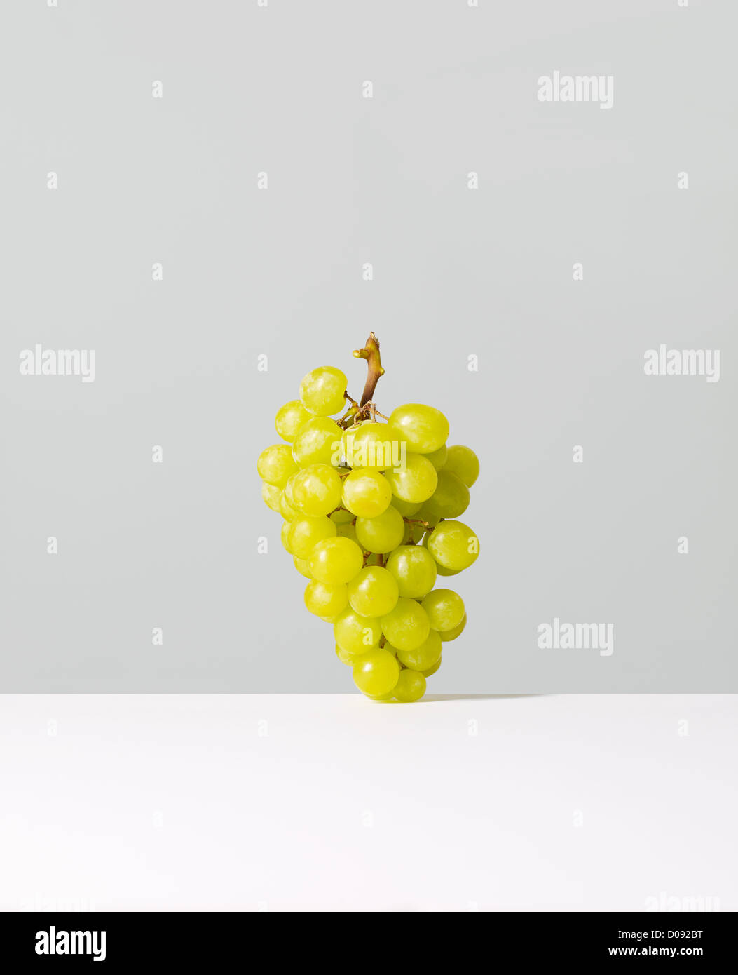 A bunch of green grapes on a neutral background Stock Photo - Alamy