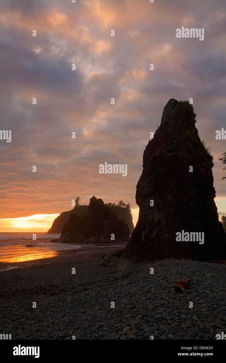 WA06660-00...WASHINGTON - Sunset at Ruby Beach on the Pacific Coast in ...