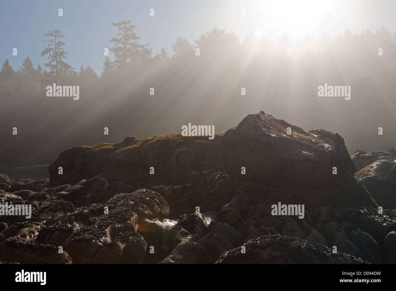 WA06679-00...WASHINGTON - Sun breaking through the early morning mist ...