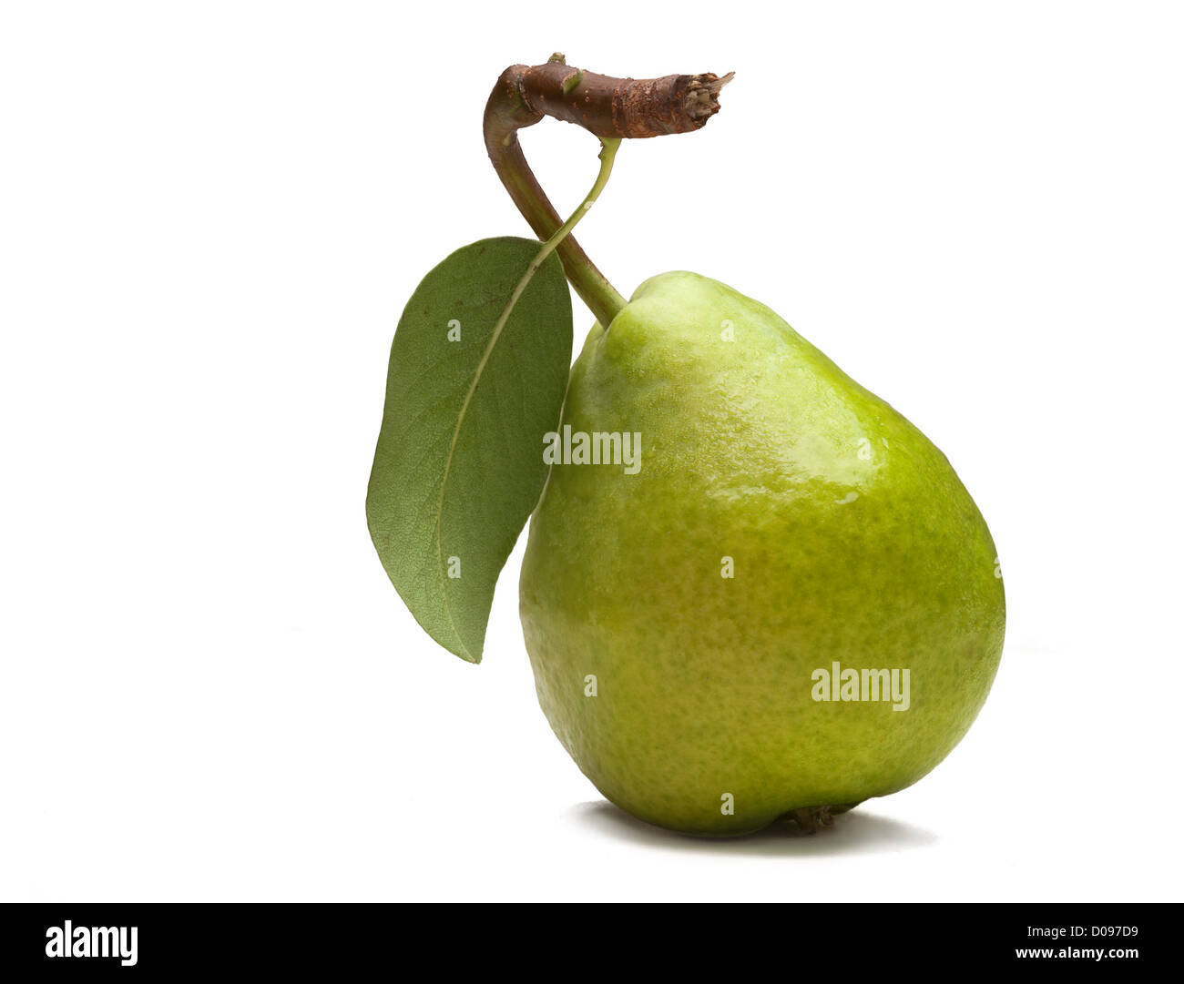 Pear green hi-res stock photography and images - Alamy