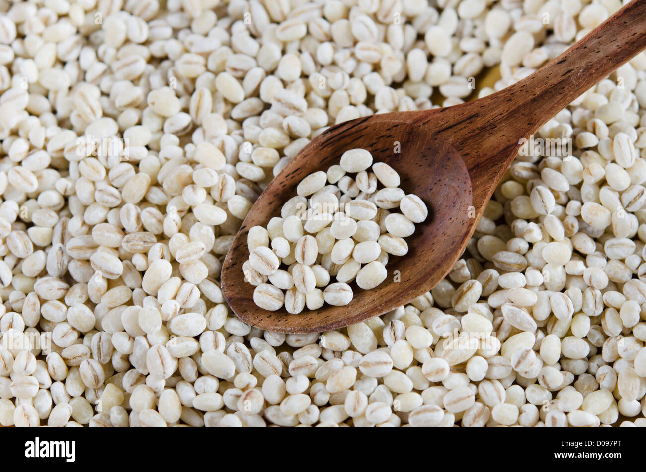 Pearl barley gains on wooden spoon Stock Photo - Alamy