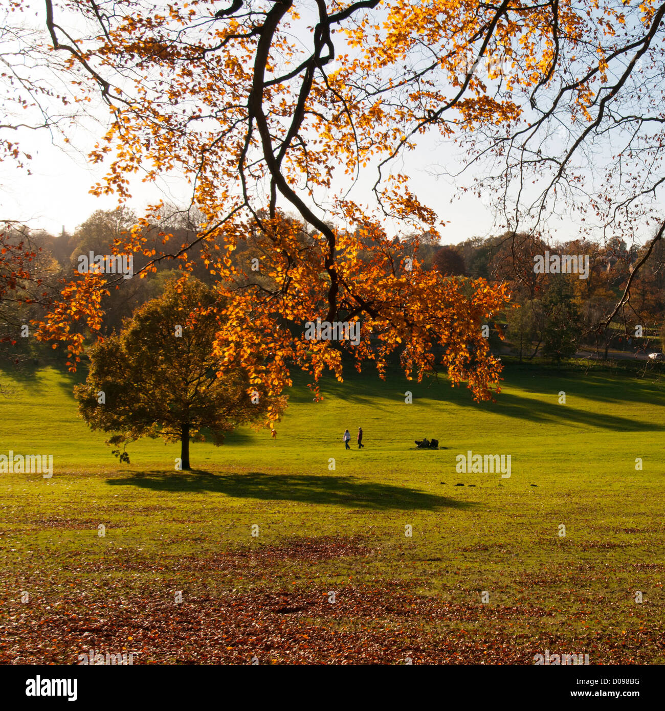 Gadebridge park hemel hempstead hertfordshire hi-res stock photography ...