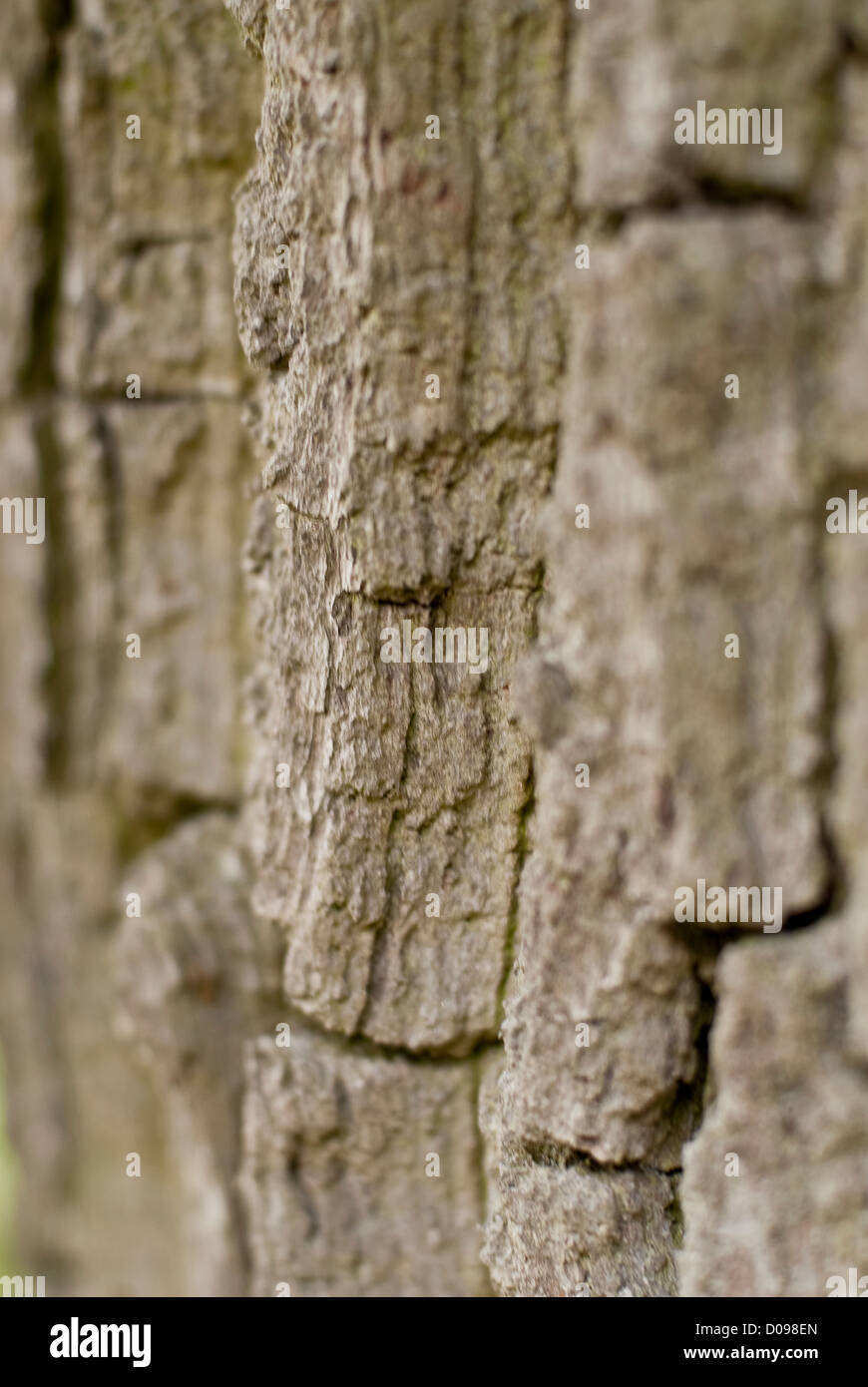 Colour photograph hi-res stock photography and images - Alamy