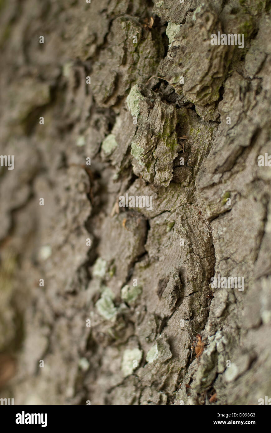 Colour photograph hi-res stock photography and images - Alamy