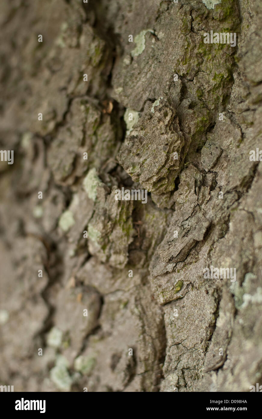 Colour photograph hi-res stock photography and images - Alamy