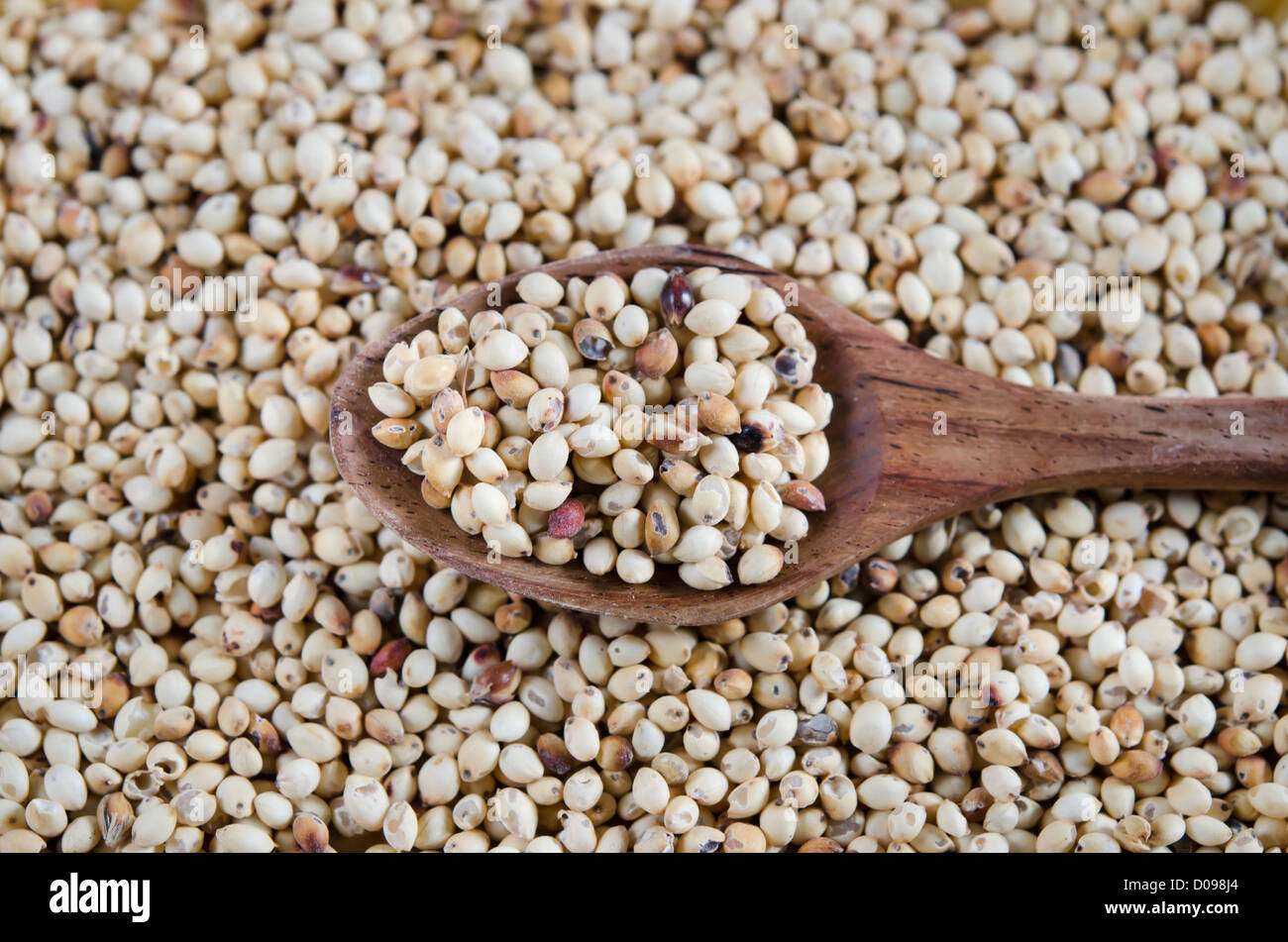 millet grains with wooden spoon Stock Photo - Alamy