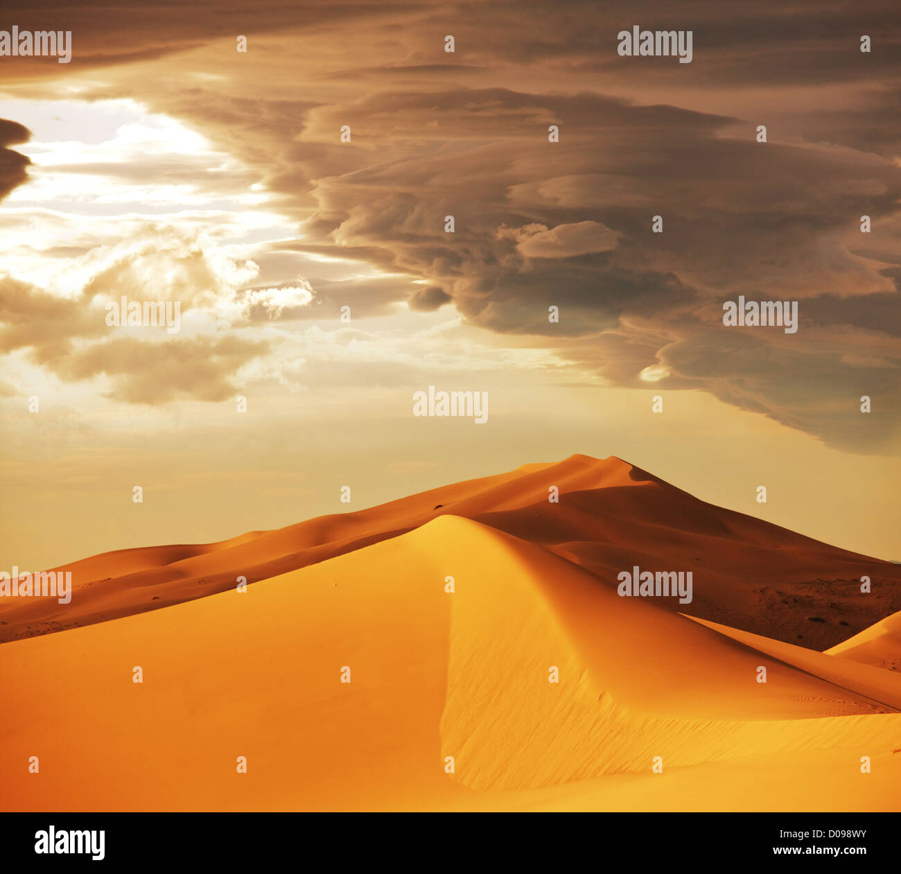 Desert on sunset Stock Photo - Alamy