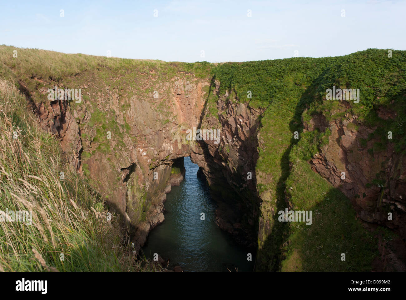 Buchan coast hi-res stock photography and images - Alamy