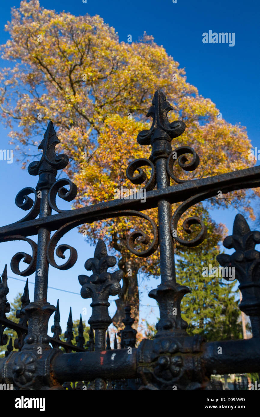 Old grid iron gate in a cemetery Stock Photo - Alamy