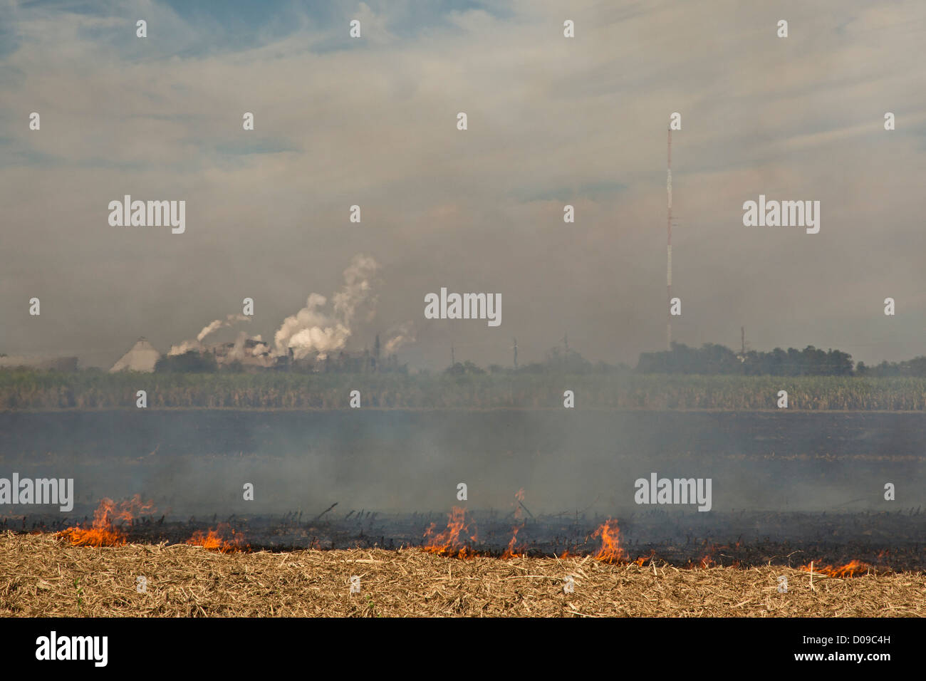 Sugar cane fields being burned at harvest time in southern Louisiana ...