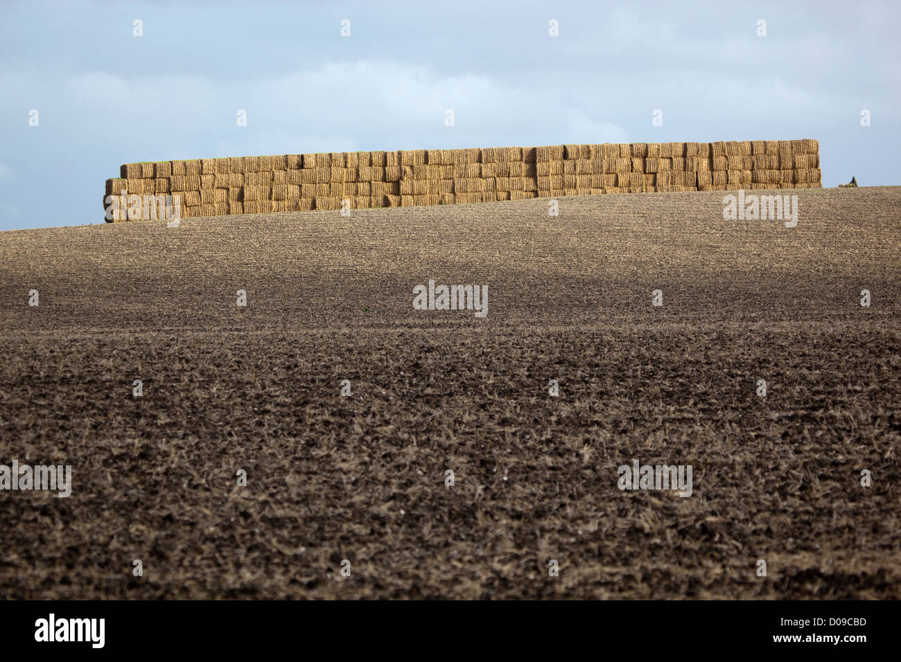Straw hay bales field agriculture hi-res stock photography and images ...