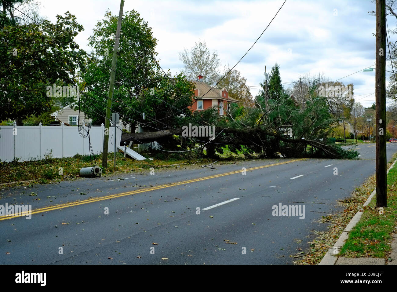 Downed tree hi-res stock photography and images - Alamy