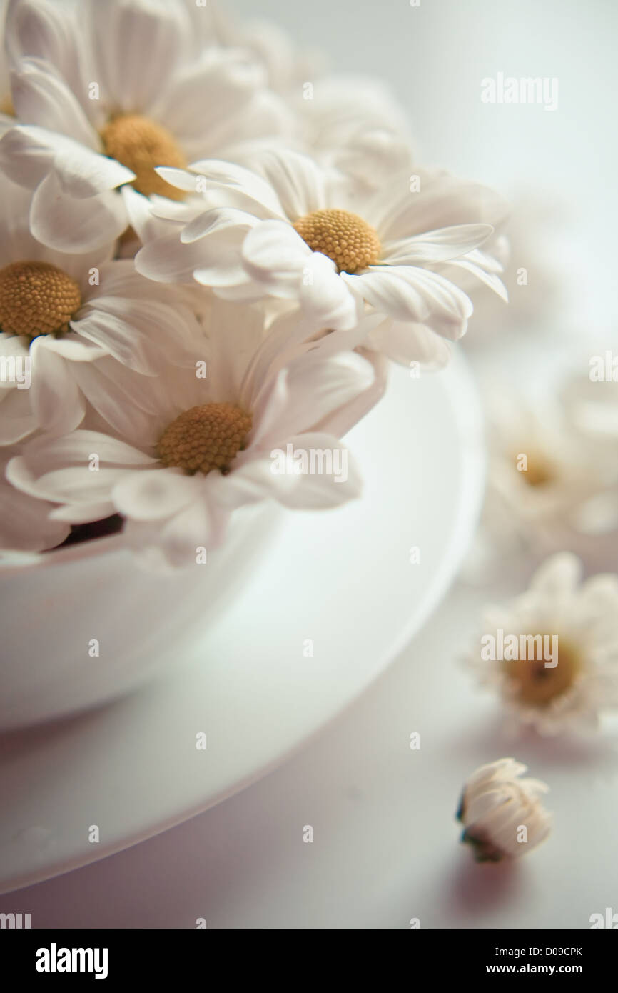 Sparse decoration hi-res stock photography and images - Alamy