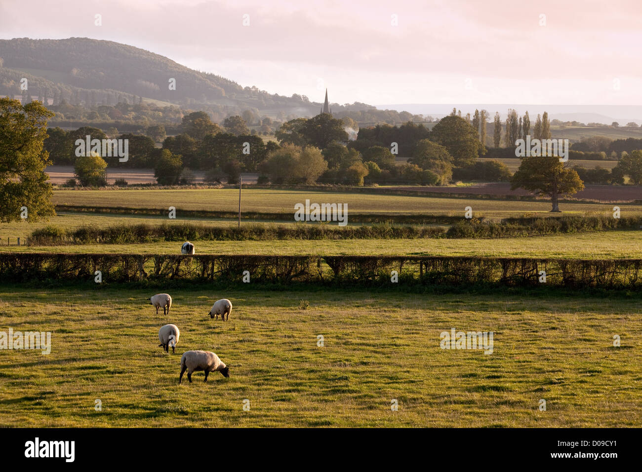Shropshire countryside, south Shropshire England UK Stock Photo - Alamy