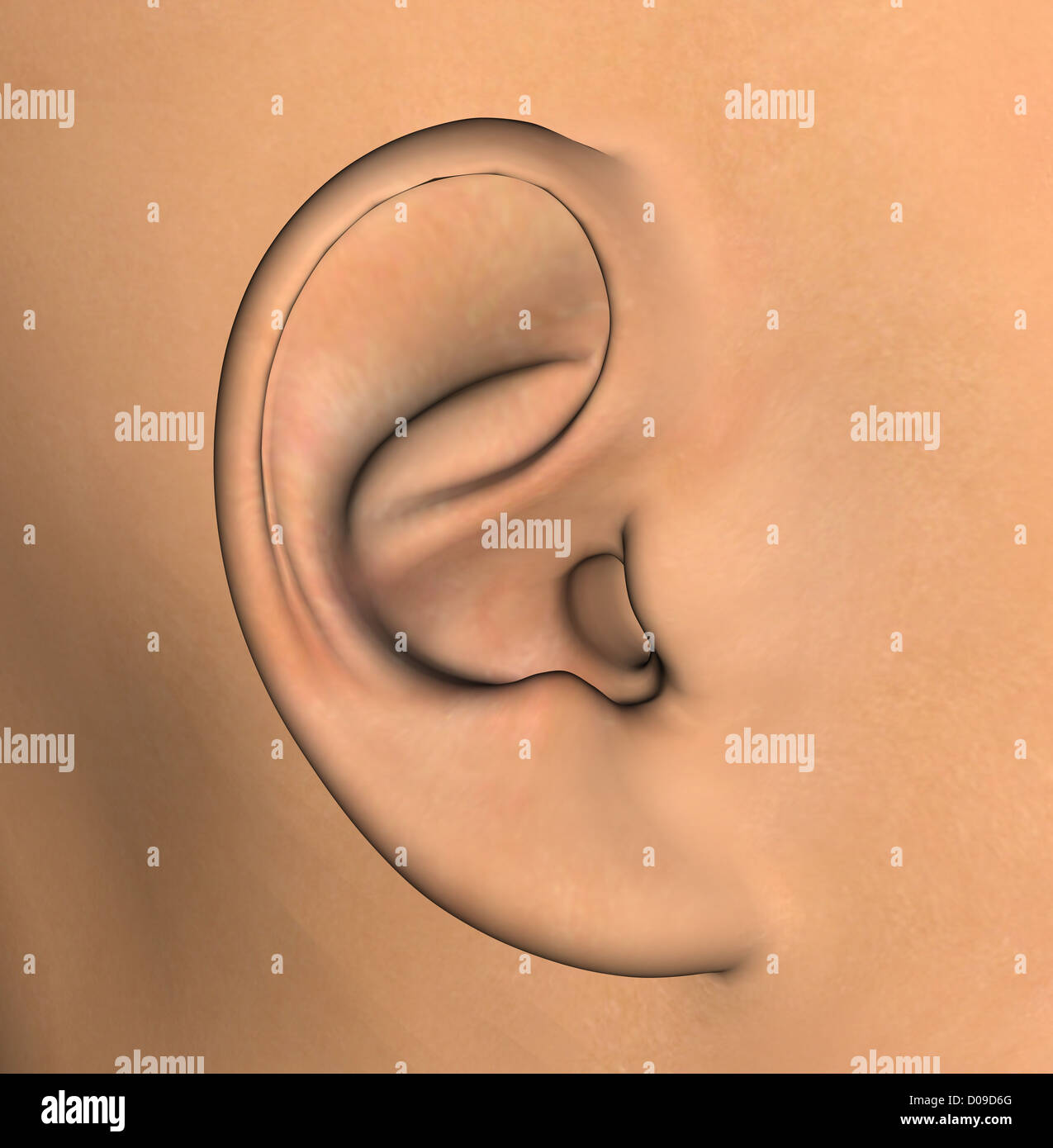 Human ear background detail. 3d illustration design element Stock Photo ...