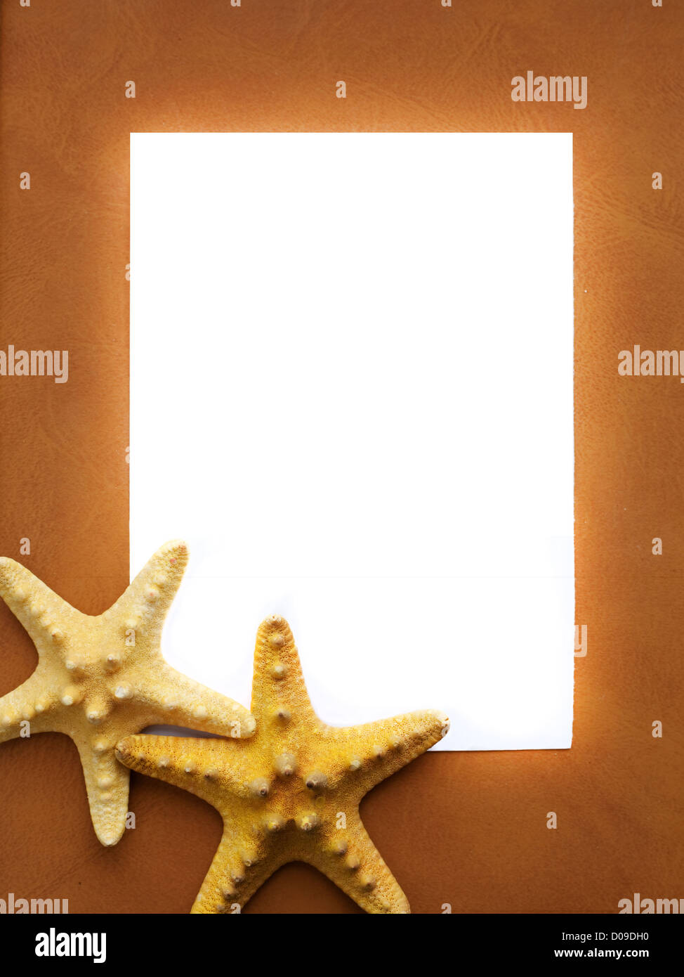 Cockleshell hi-res stock photography and images - Alamy