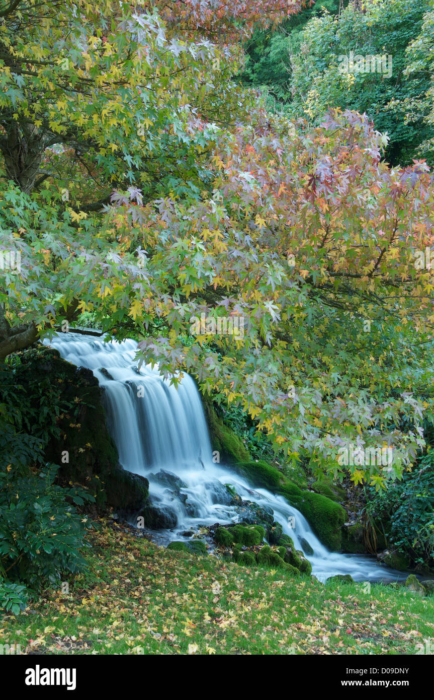 Autumn leaves overhang a picturesque waterfall flowing from Bidehead ...