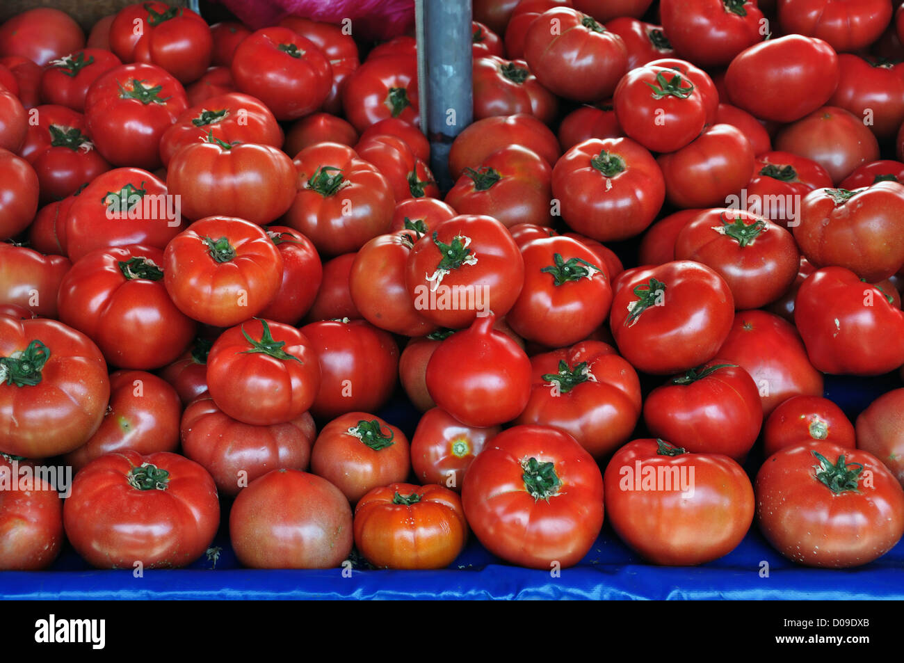 Fresh tomatoes for sale at grocery store. Vegetables background Stock ...