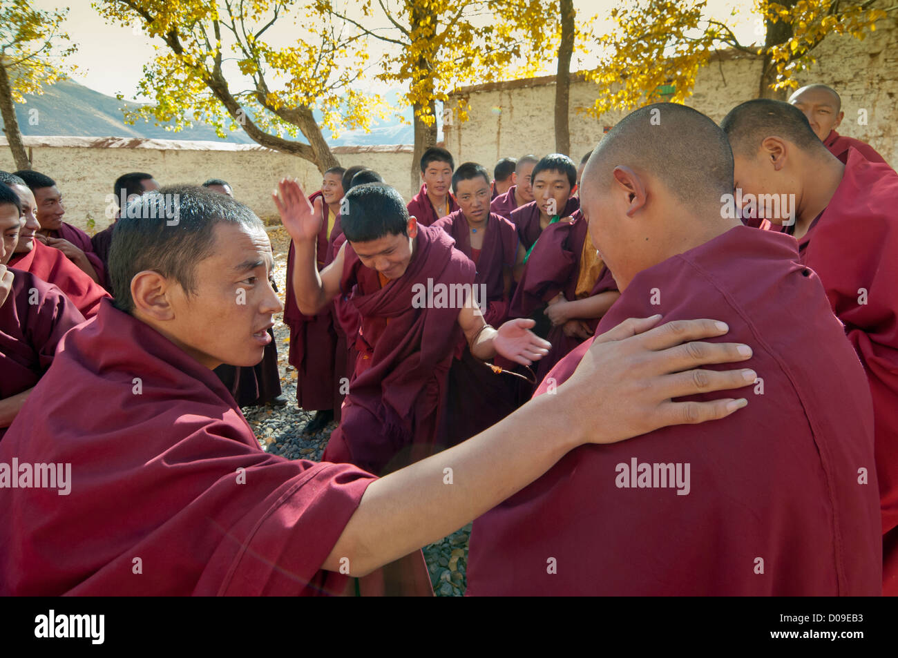 As challenger slaps hands, center, young Buddhist monk, L, reassures ...