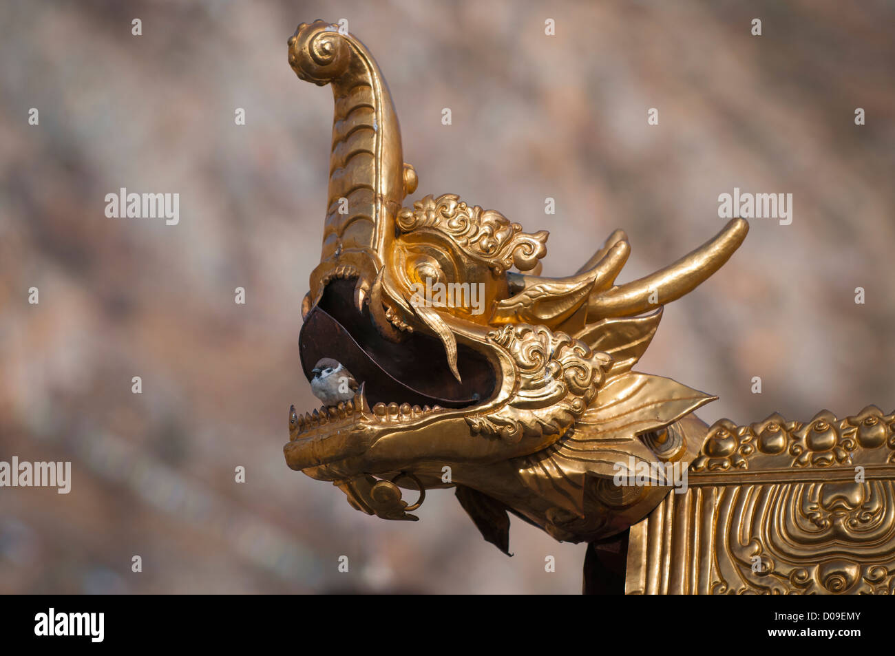 Bird perches in mouth of golden mythical creature on temple roof ...