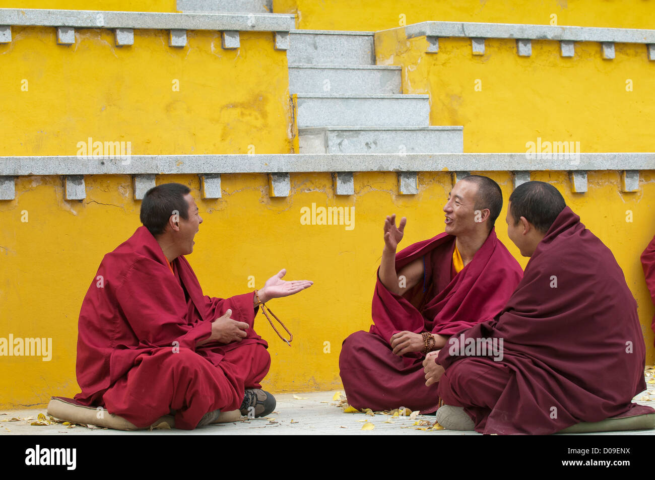 Buddhist monks engage in spirited hi-res stock photography and images ...