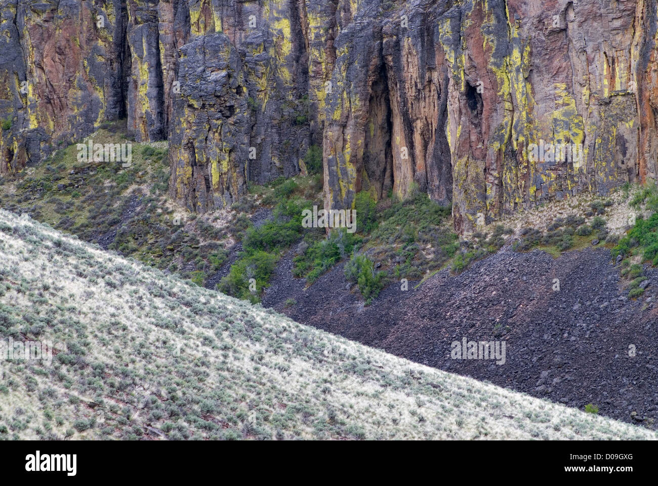 Sagebrush slope and cliff in Idaho's Owyhee Desert Stock Photo - Alamy