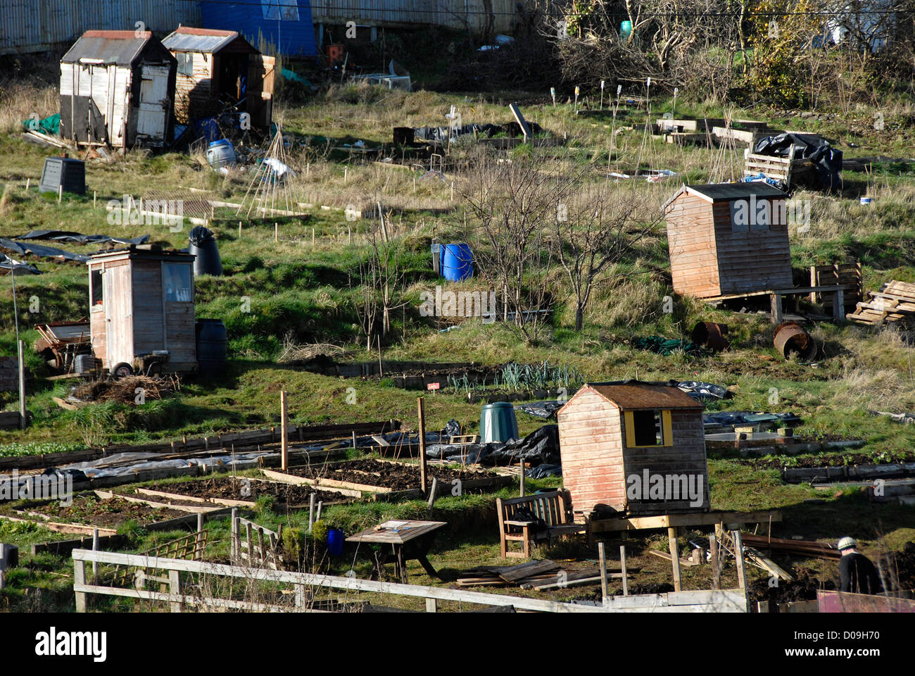 Allotments Bristol High Resolution Stock Photography and Images - Alamy