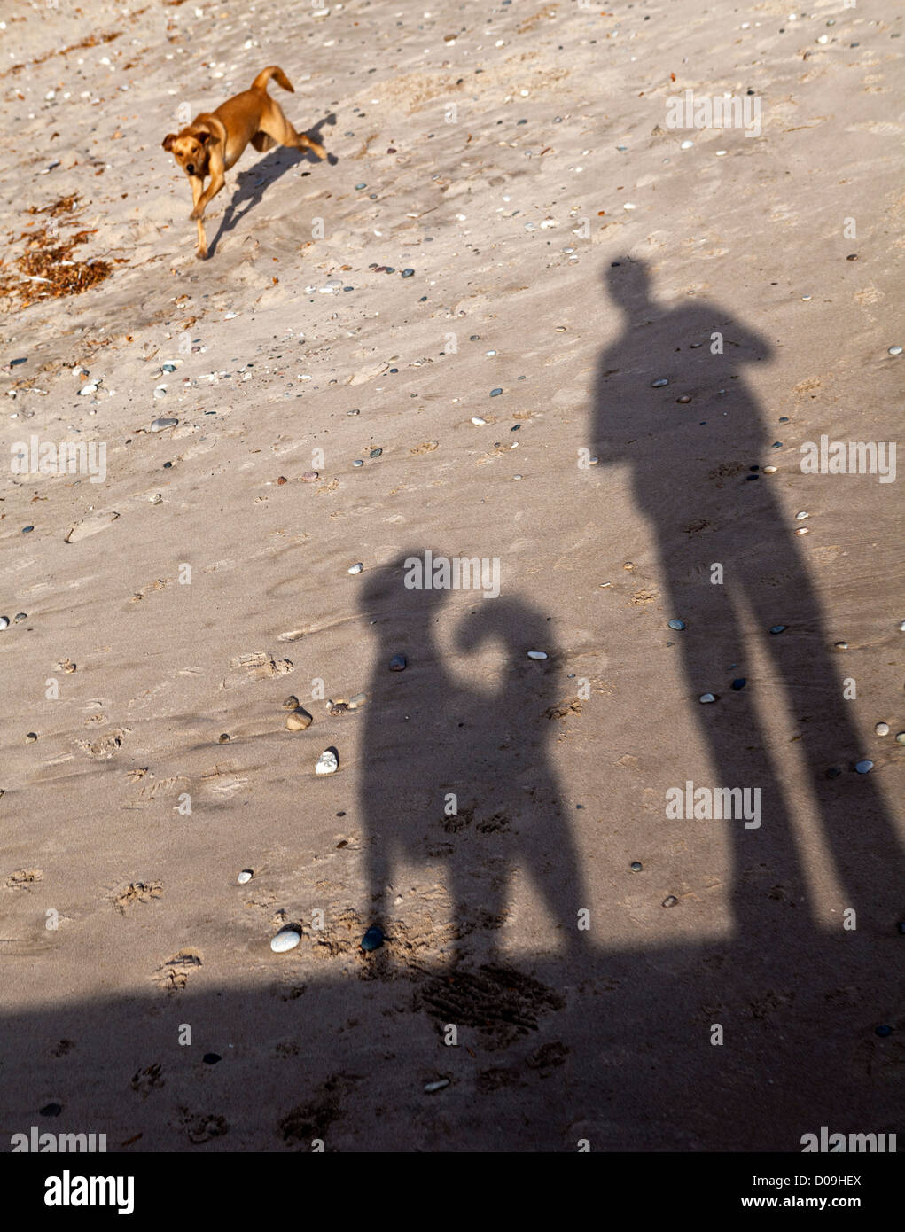 Dog man in sand hi-res stock photography and images - Alamy