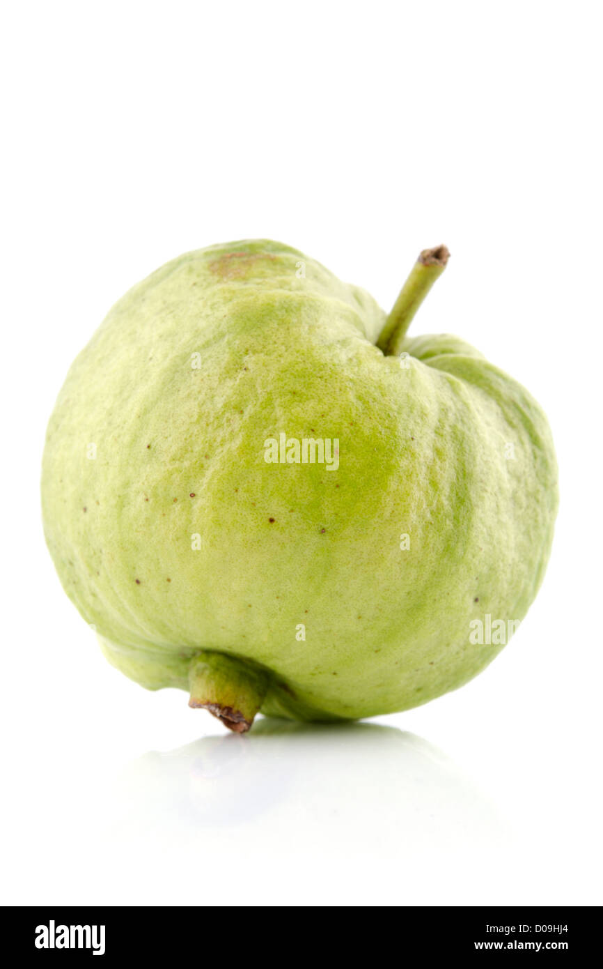 Single organic guava fruit on white background Stock Photo - Alamy
