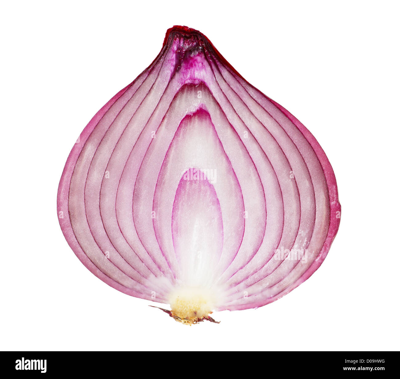 Section single red onion sliced hi-res stock photography and images - Alamy