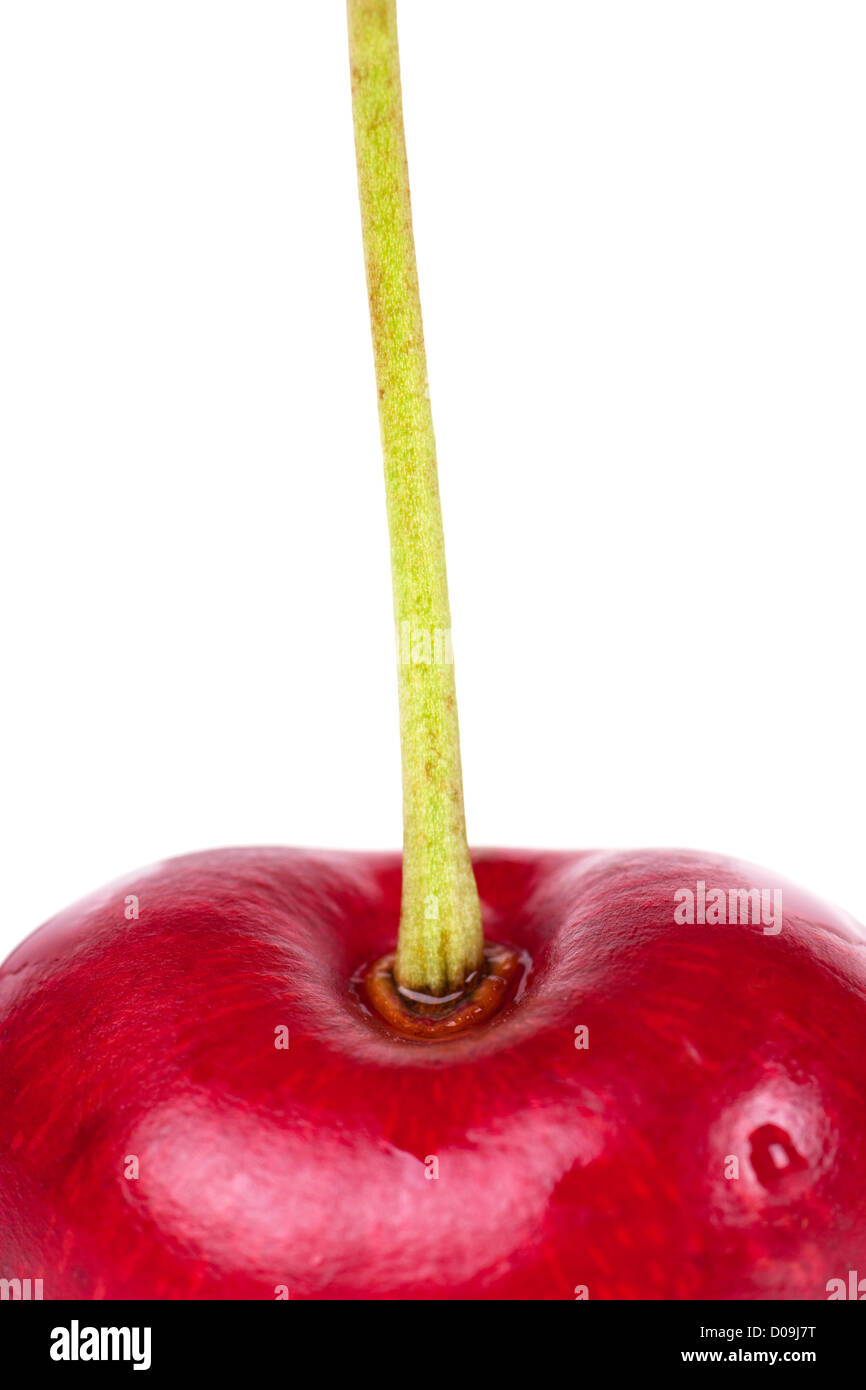 Macro view of cutting of cherry isolated over white background Stock ...