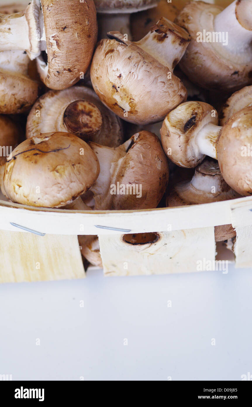 Brown button hi-res stock photography and images - Alamy