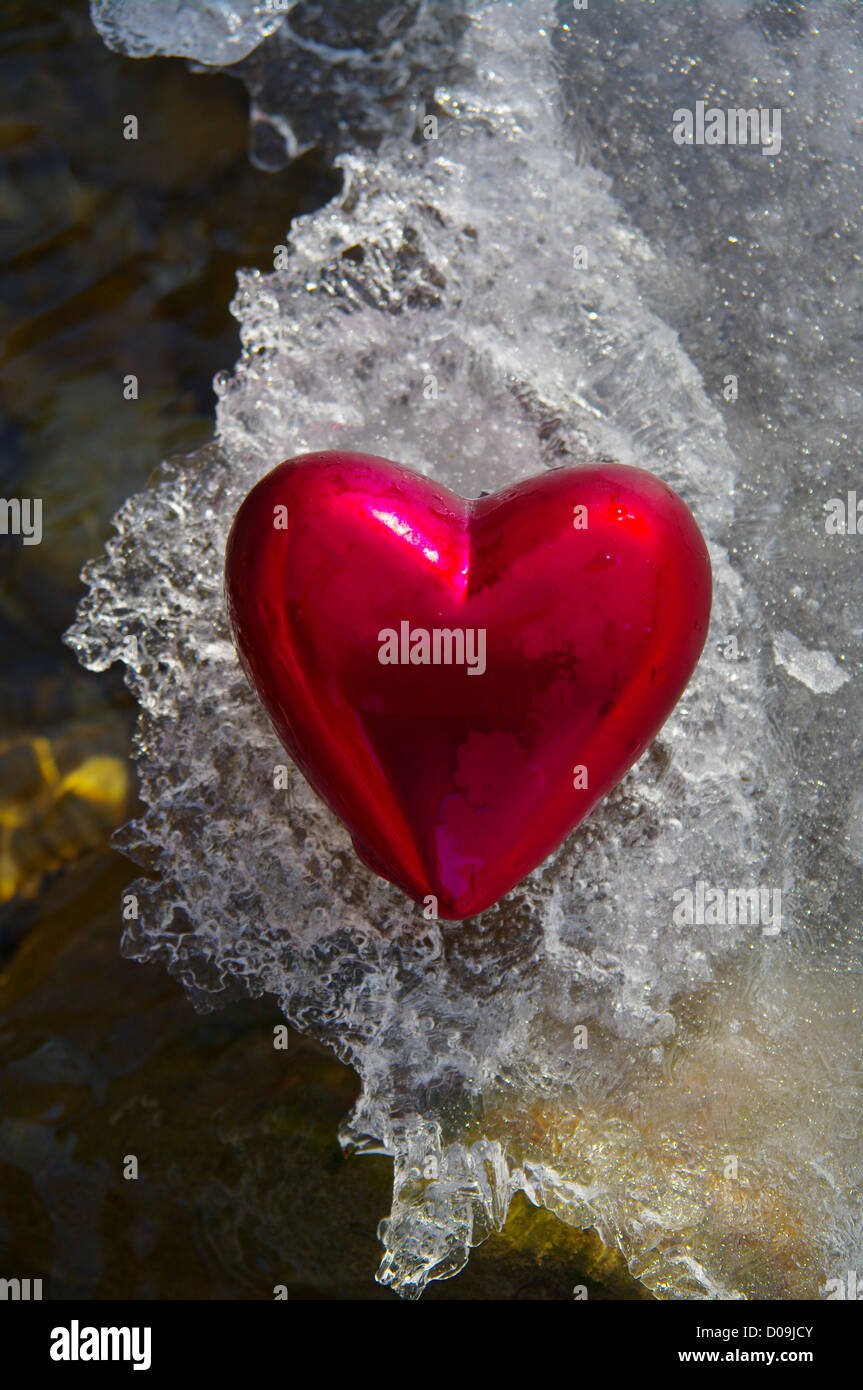 Real heart hi-res stock photography and images - Alamy