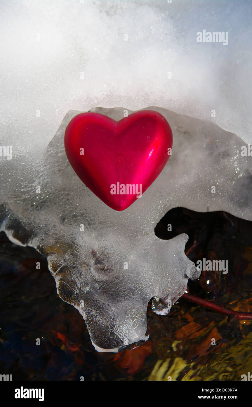 Real heart hi-res stock photography and images - Alamy