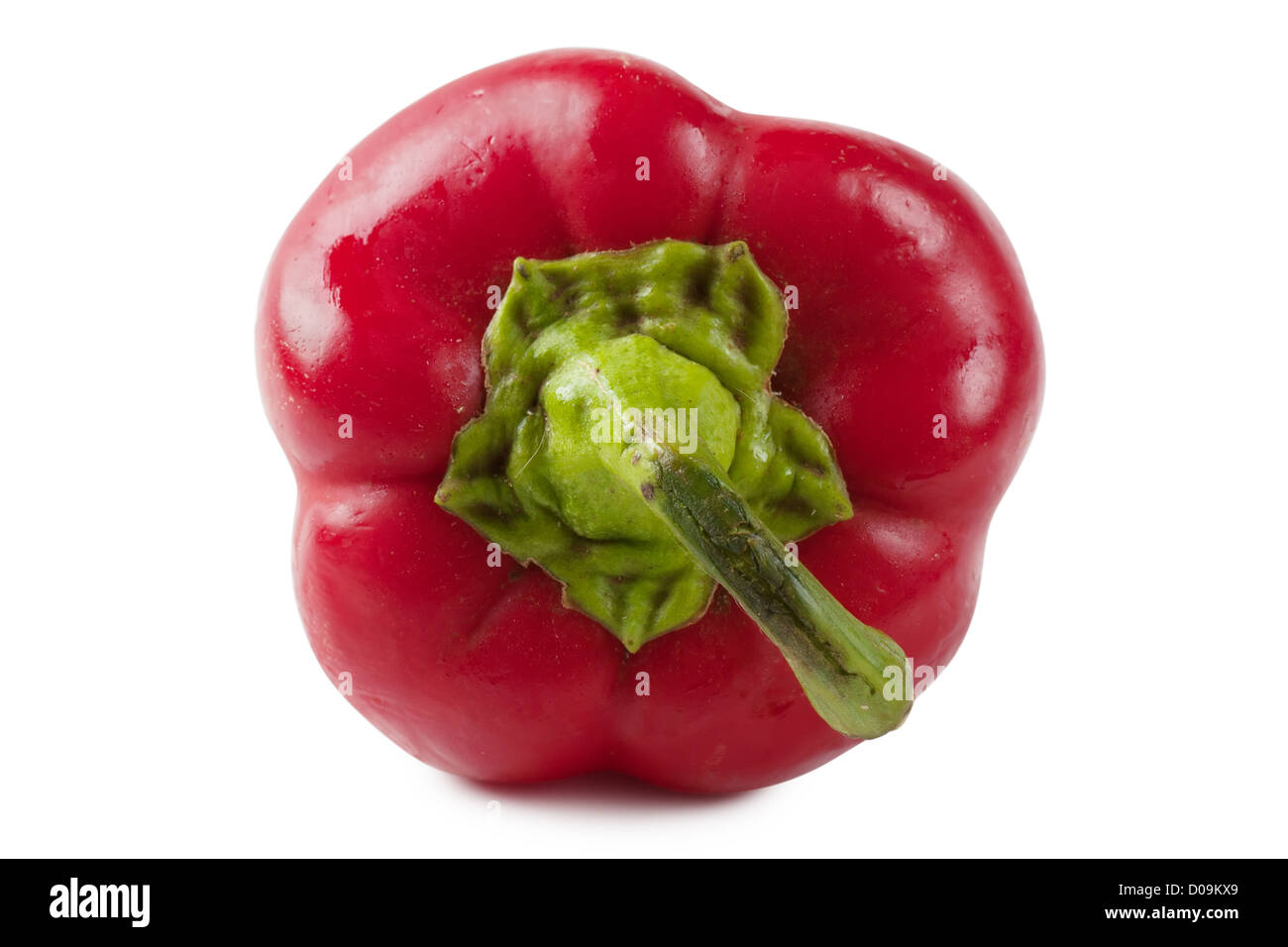 The growth of pepper Cut Out Stock Images & Pictures - Alamy
