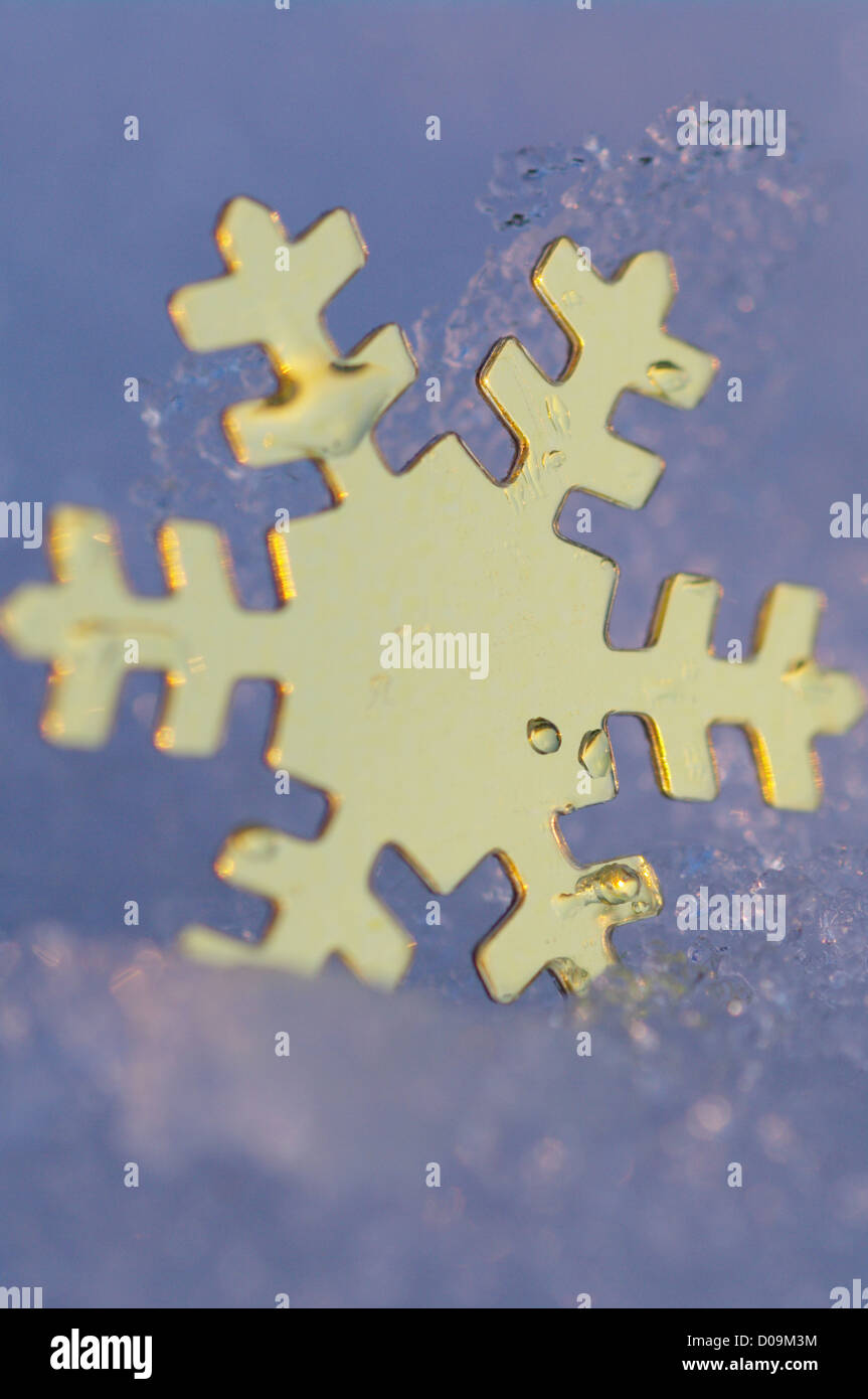 golden snow stars on a real snowy icy surface Stock Photo - Alamy