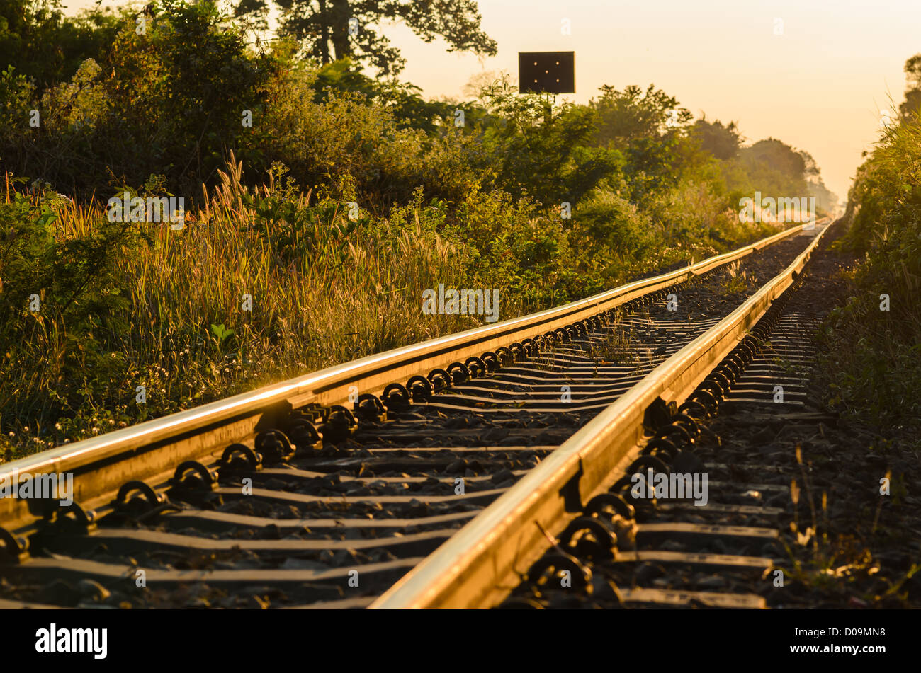 railway and sunrise green landscape nature Stock Photo - Alamy