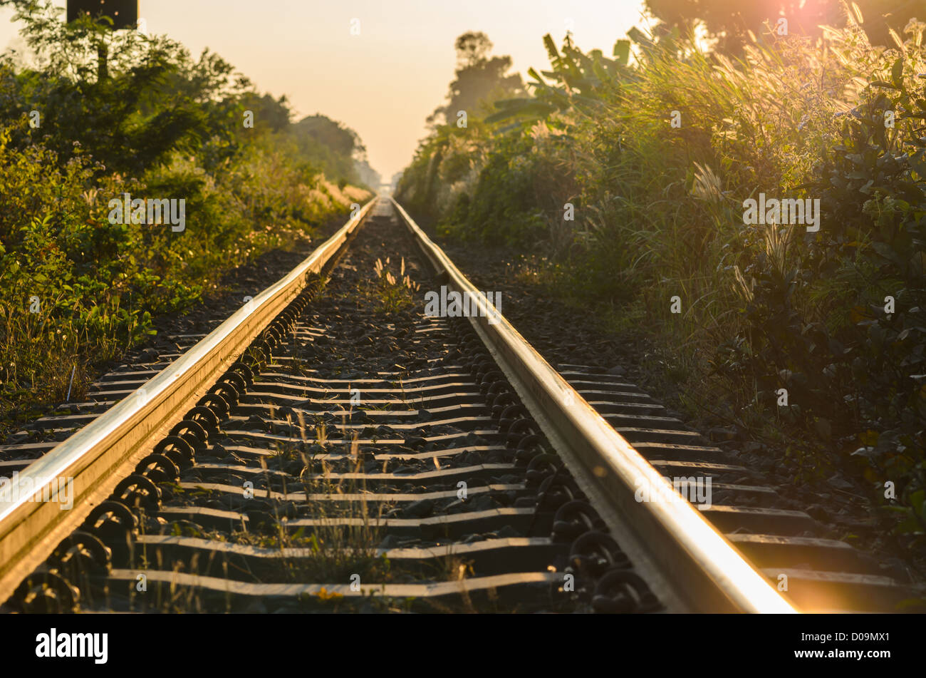 railway and sunrise green landscape nature Stock Photo - Alamy