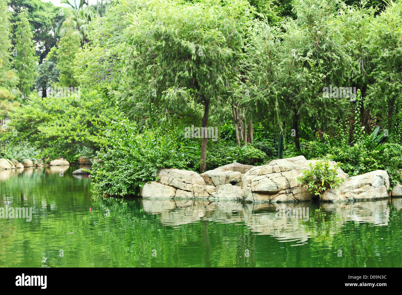 pond in park Stock Photo - Alamy