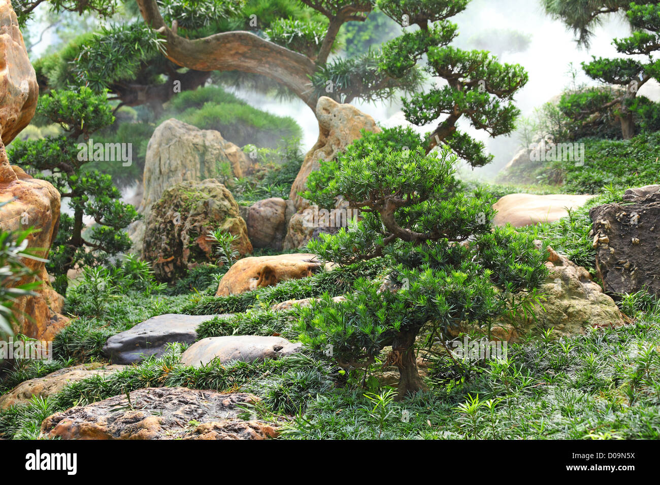 chinese garden plants Stock Photo - Alamy