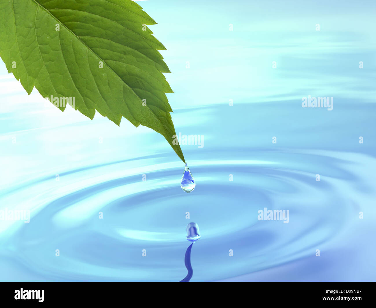 Drop fall from leaf on ripple water. 3d Stock Photo - Alamy