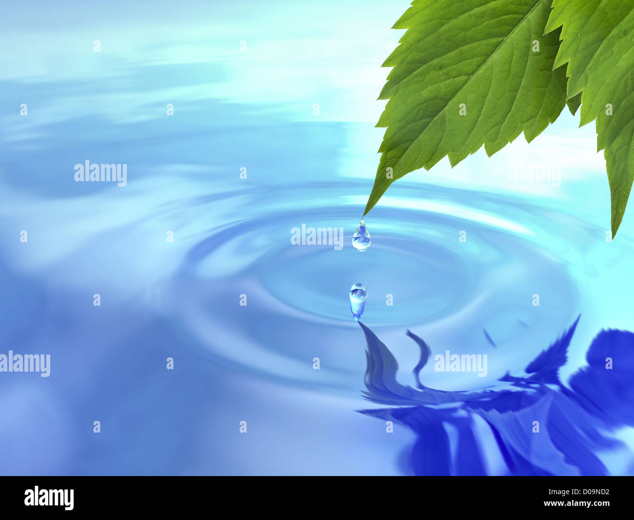 Drop fall from leaf on ripple water. 3d Stock Photo - Alamy