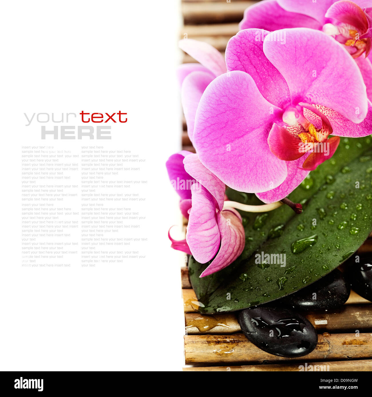 Spa setting orchid flowers hi-res stock photography and images - Alamy