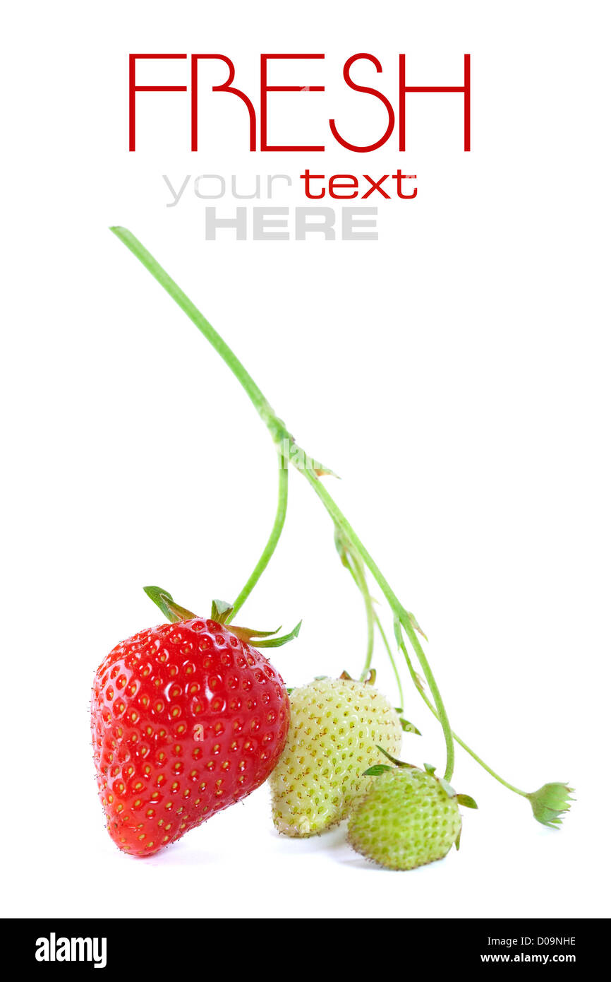 Ripe unripe green red Cut Out Stock Images & Pictures - Alamy