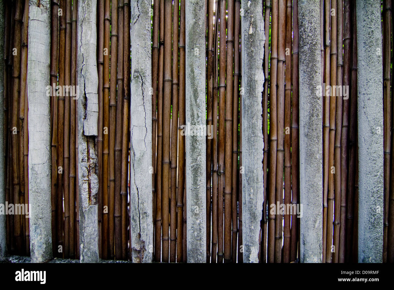 Reed textures hi-res stock photography and images - Alamy