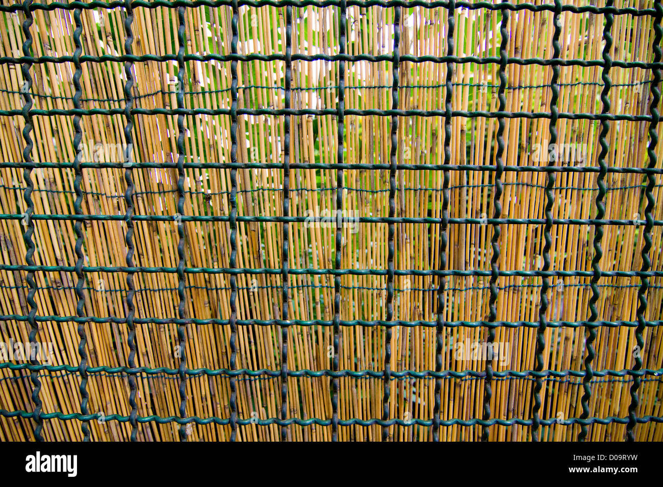 Reed textures hi-res stock photography and images - Alamy