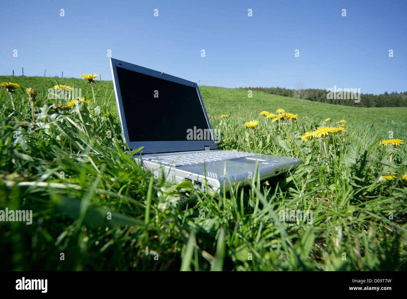 laptop in grass as a symbol for fieldwork,leisure or holiday Stock ...