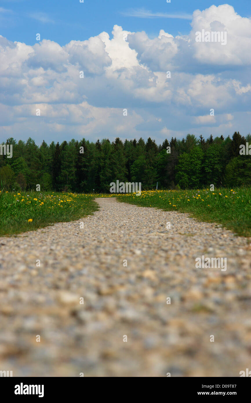 a path through a summer landscape on a sunny day Stock Photo - Alamy